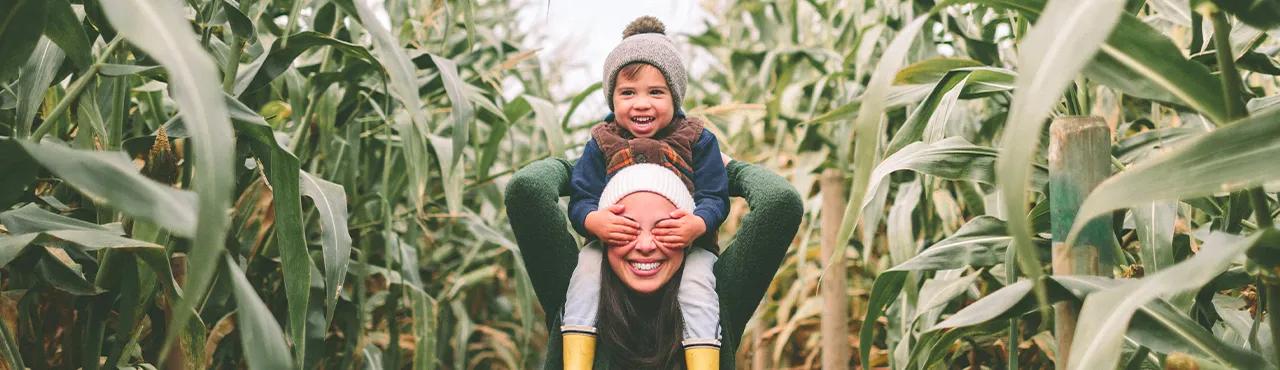 Discover Flying Blue | Air France